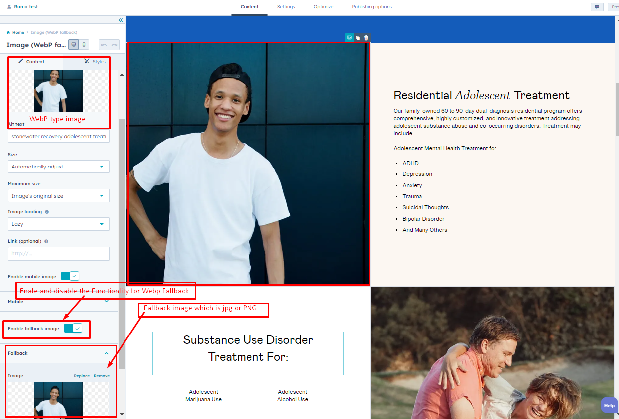 WebP Fallback Image Setup on HubSpot Website